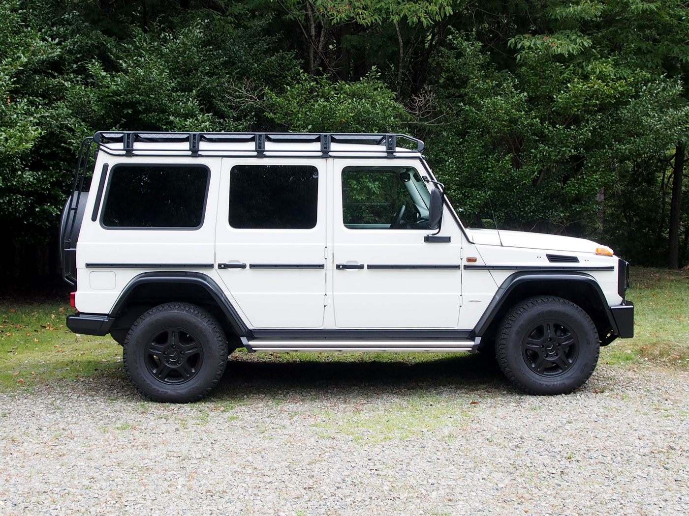 G350d Professional ジャパン・カーナイス