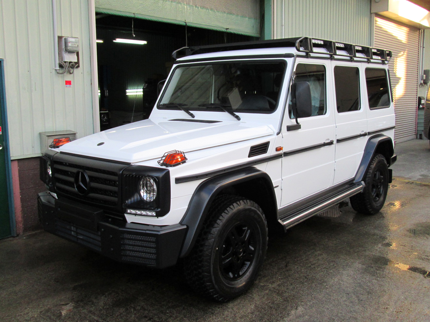 G350d Professional ジャパン・カーナイス