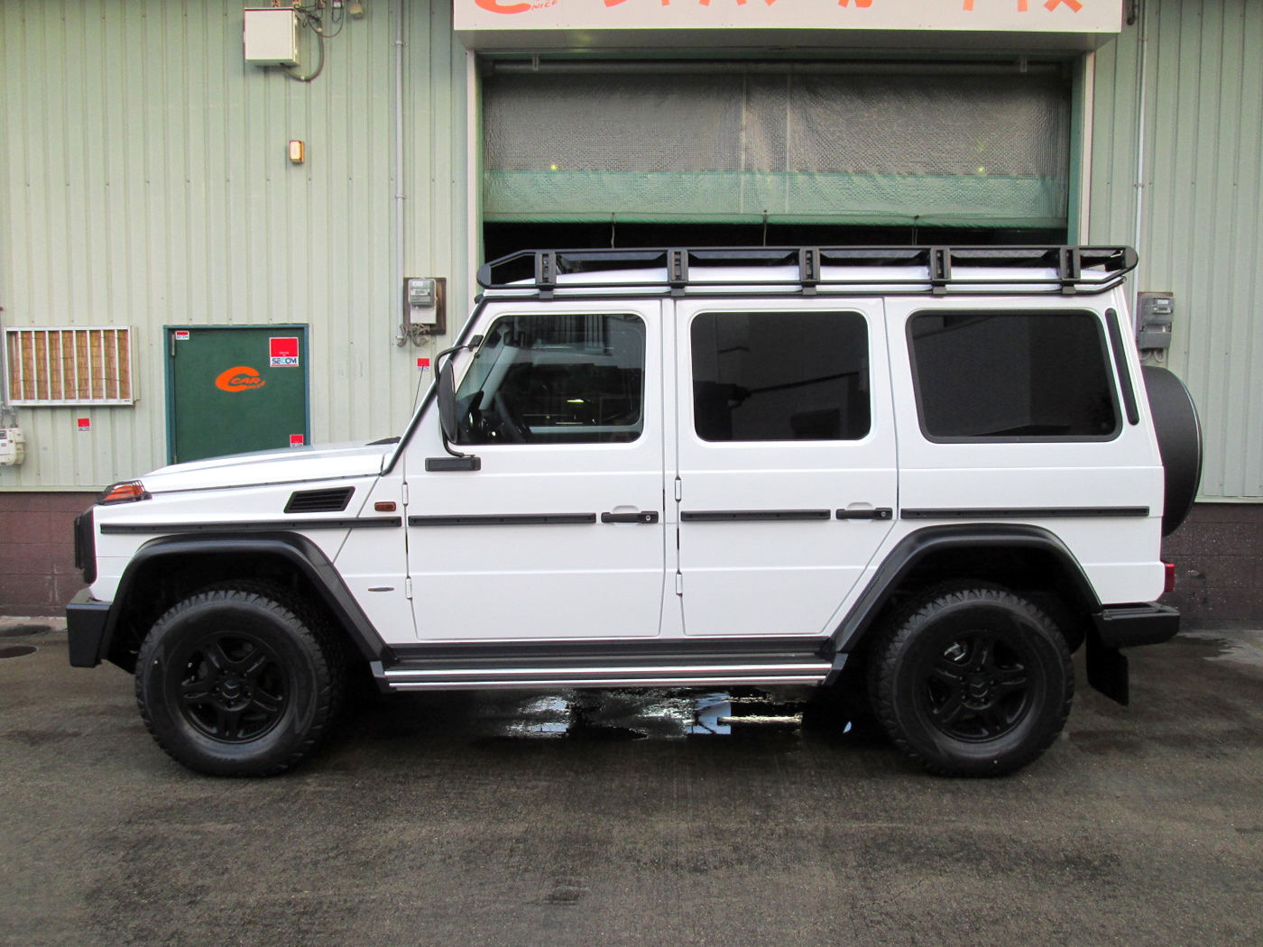 G350d Professional ジャパン・カーナイス